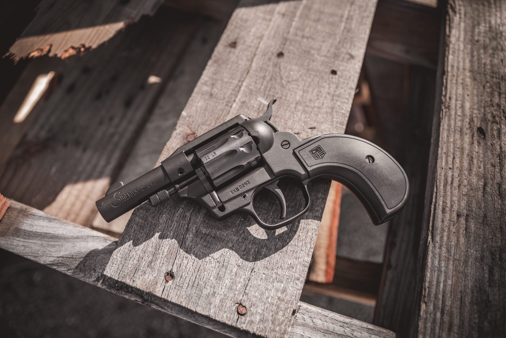 Diamondback Sidekick Birdshead Revolver: A Modern Take on a Classic ...